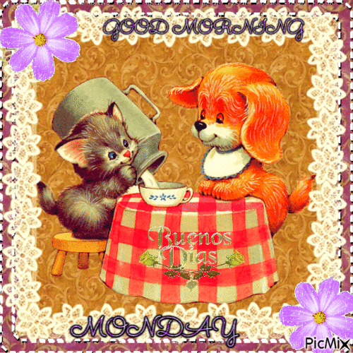 Kitty And Dog - Good Morning, Monday Pictures, Photos, and Images for ...