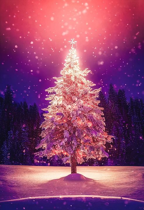 Beautiful Glowing Christmas Tree Pictures, Photos, and Images for ...