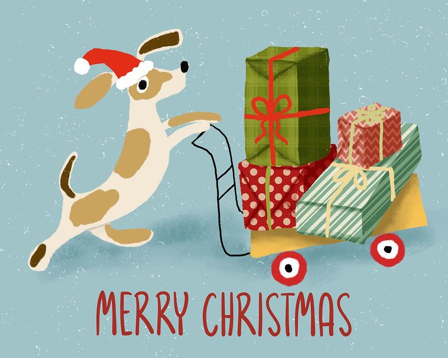 Dog Pushing Christmas Gifts Pictures, Photos, and Images for Facebook ...