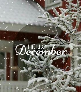 White Snowfall - Hello December Pictures, Photos, and Images for ...
