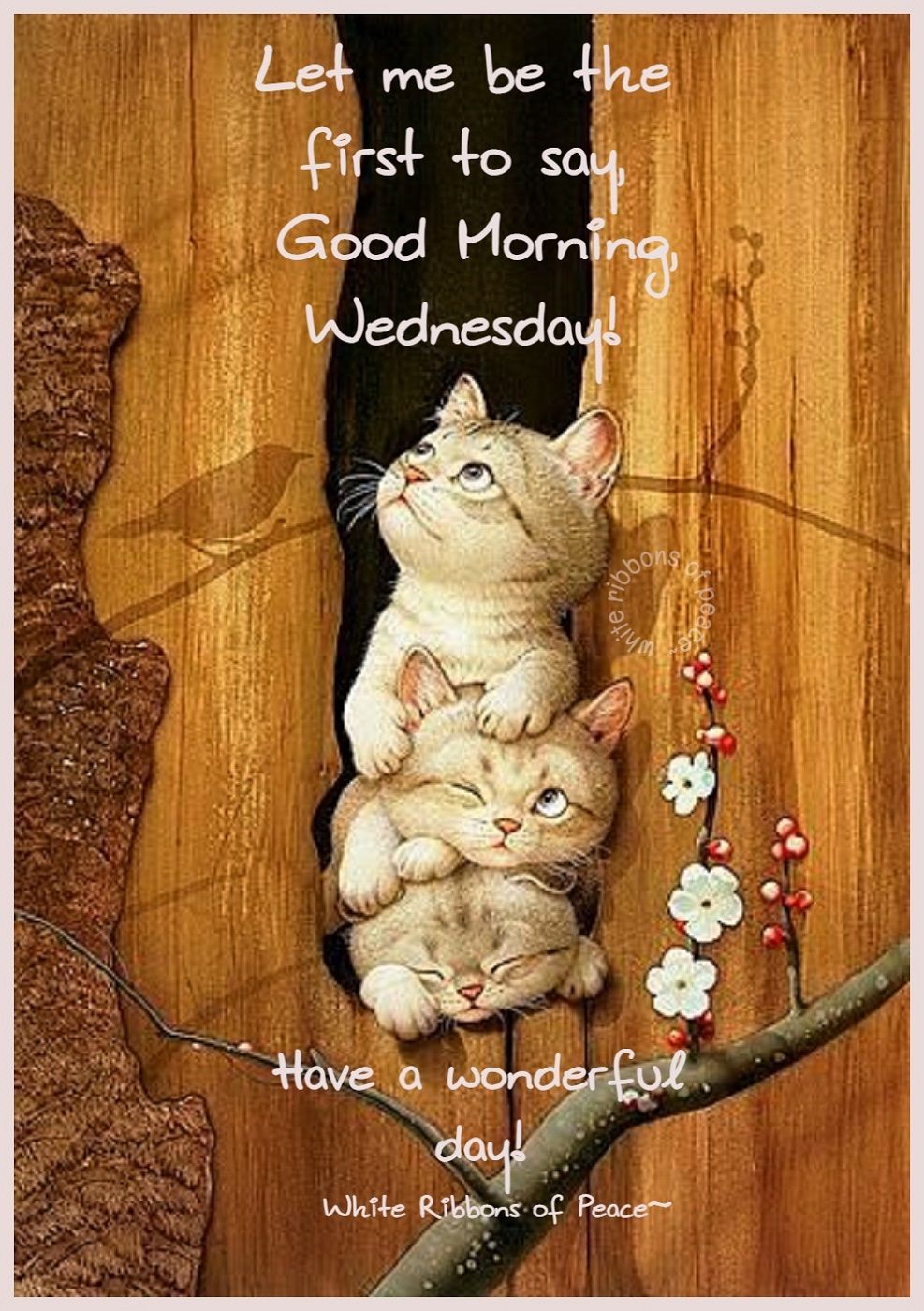 Let Me Be The First To Say, Good Morning, Wednesday! Pictures, Photos ...