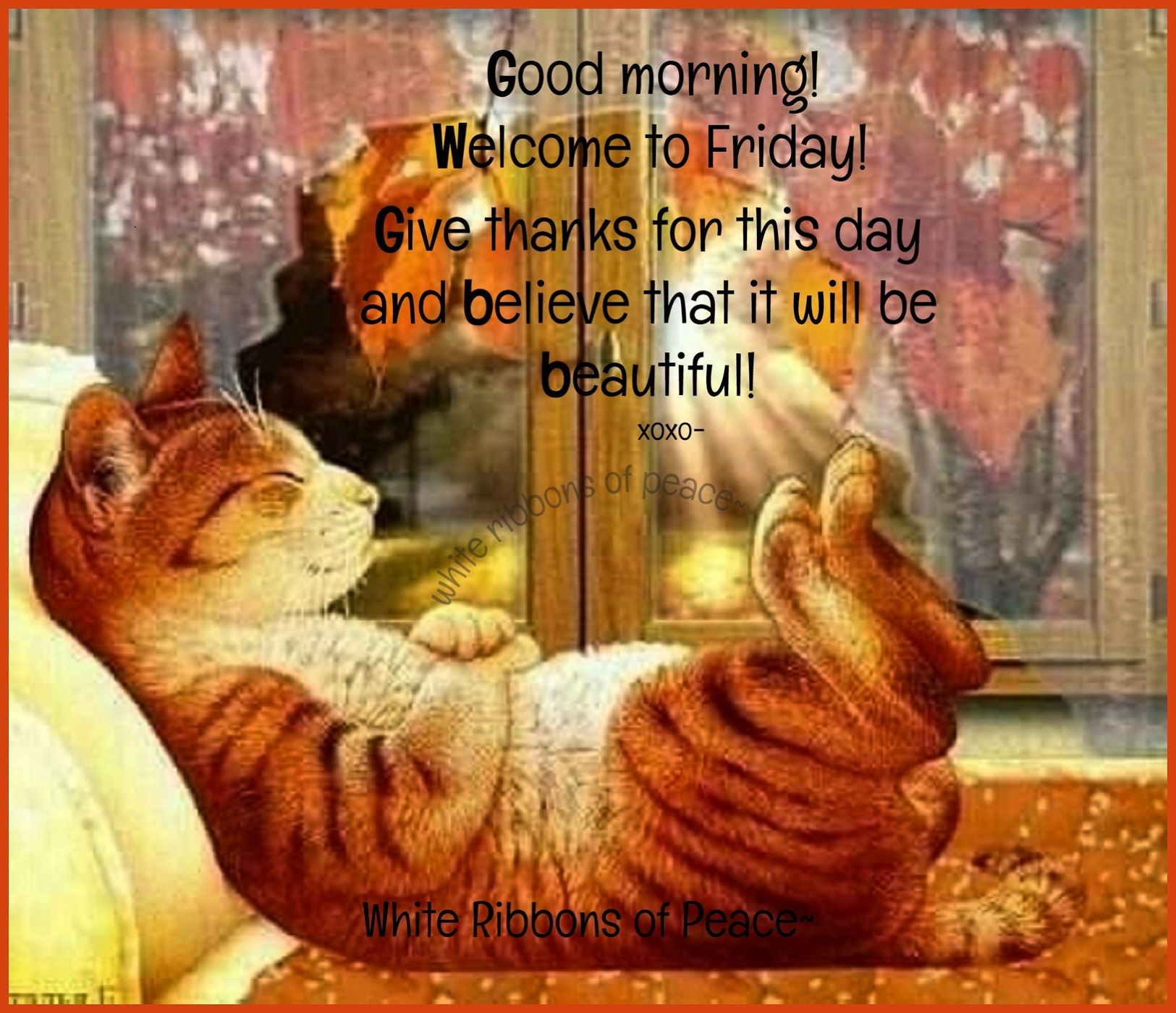 Resting Cat - Good Morning! Welcome To Friday! Pictures, Photos, and ...