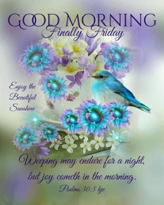 Finally Friday, Good Morning Pictures, Photos, and Images for Facebook ...