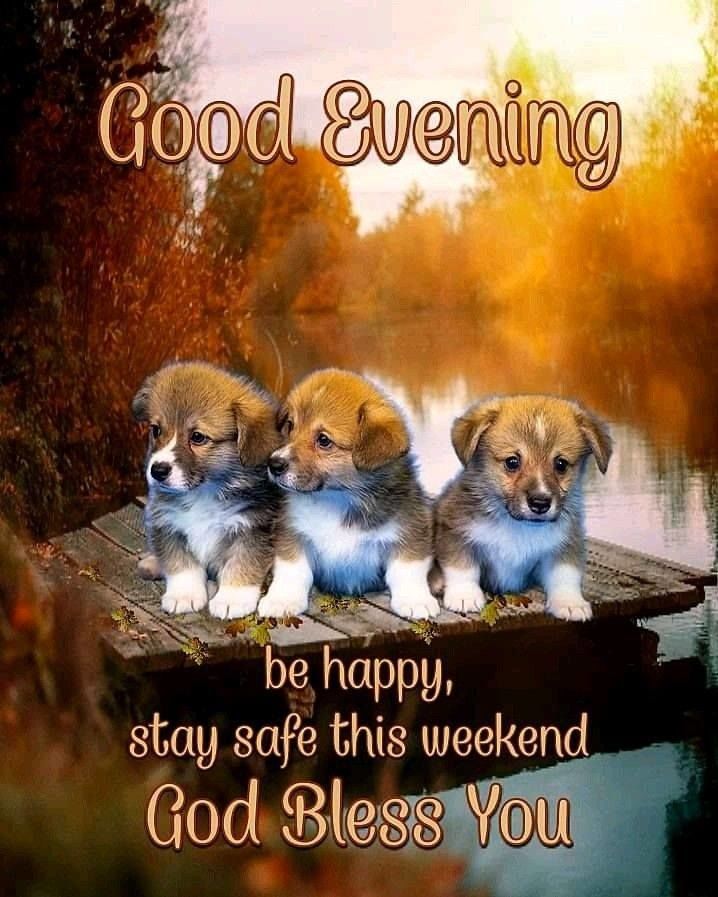Good Evening, Be Happy. Stay Safe This Weekend. God Bless You Pictures ...