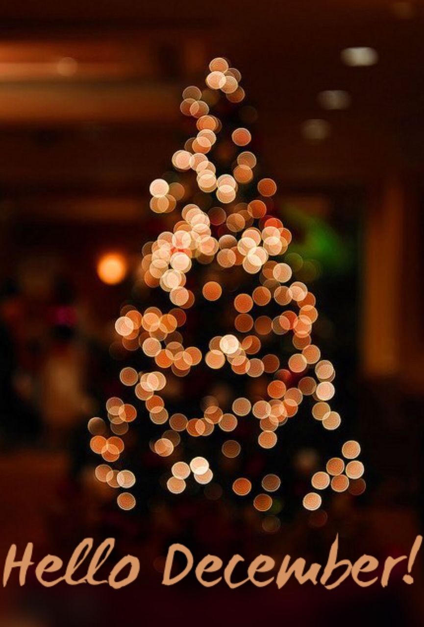 Bokeh Christmas Tree - Hello December! Pictures, Photos, and Images for ...