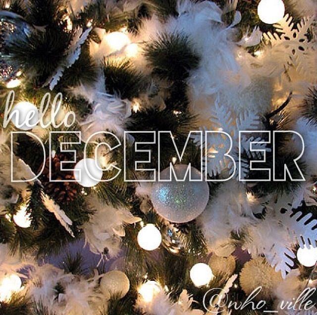Glowing Lights Decor - Hello December Pictures, Photos, and Images for ...