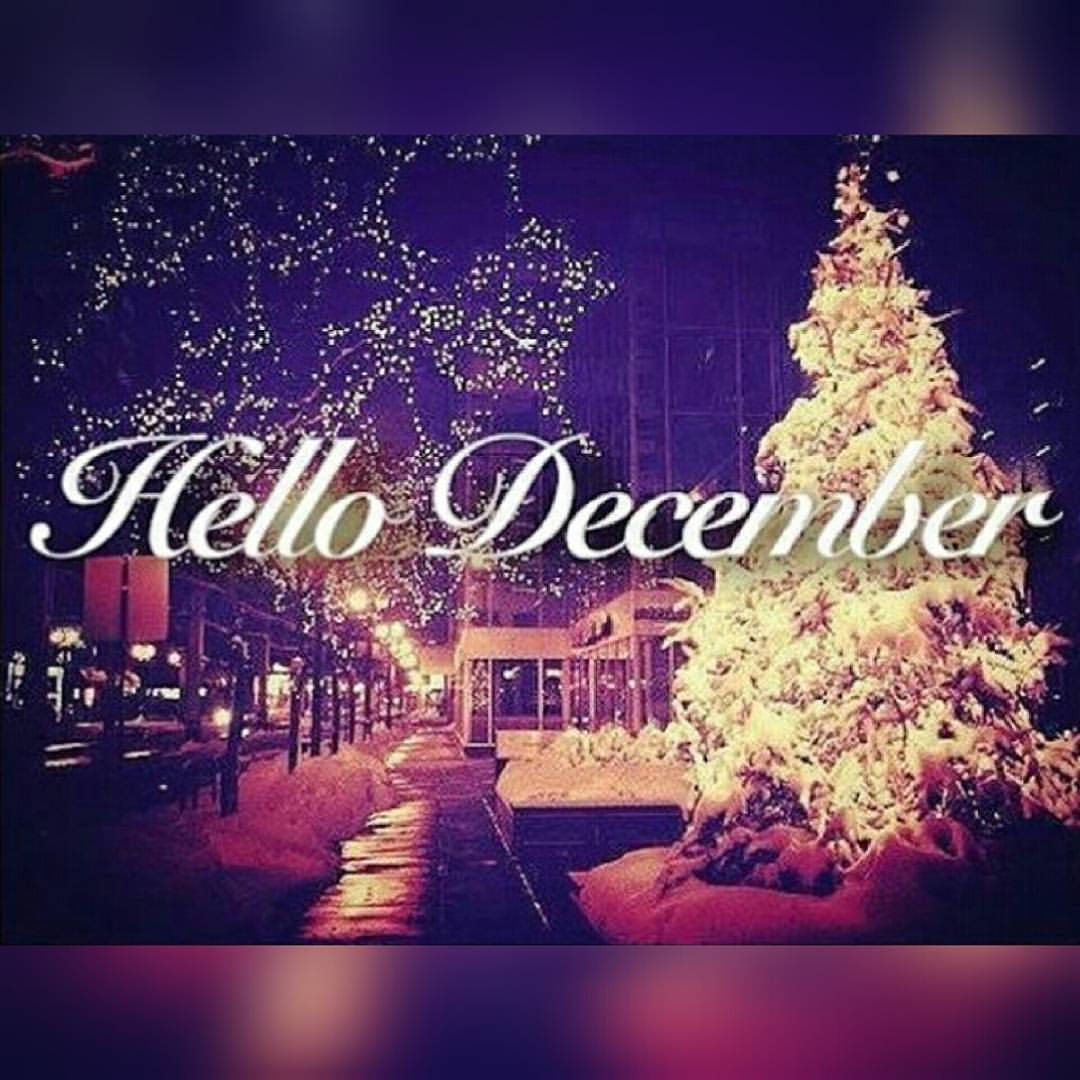 Winter Tree Outdoors - Hello December Pictures, Photos, and Images for ...