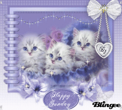 Pretty Kittens - Happy Sunday 2022 Gif Pictures, Photos, and Images for ...