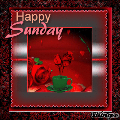 Red Rose In Cup - Happy Sunday Gif For 2022 Pictures, Photos, and ...