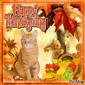 Fall Cat & Kitty - Happy Thanksgiving Pictures, Photos, and Images for ...