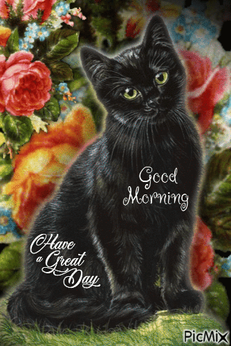 Black Cat With Flower Background - Good Morning Gif Pictures, Photos ...