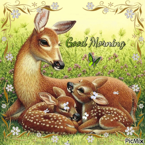 Deer Family - Good Morning Gif Pictures, Photos, and Images for ...