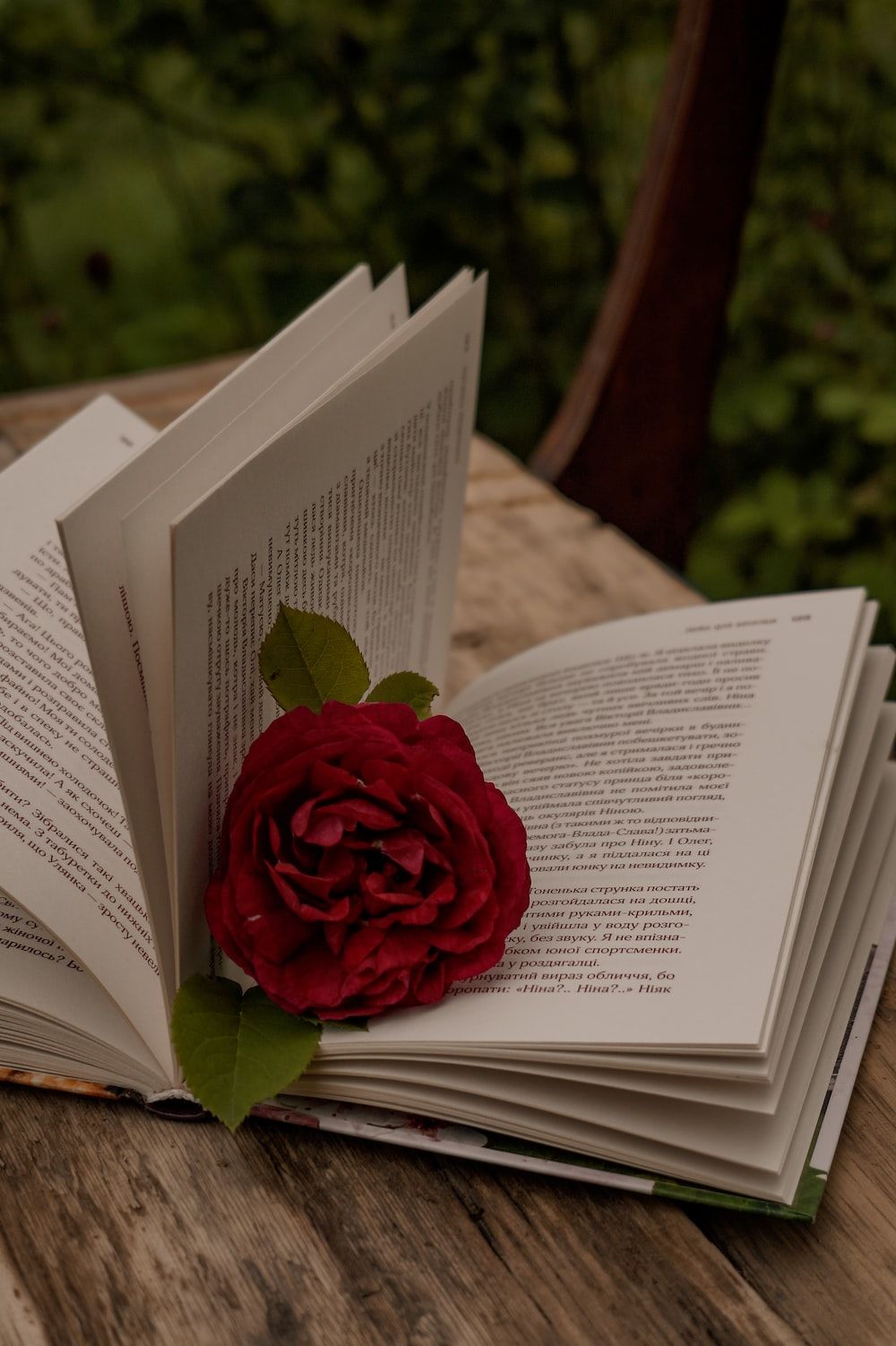 Rose On Book Pictures, Photos, and Images for Facebook, Tumblr ...