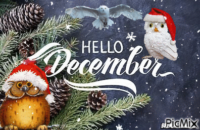 Owl Hello December Gif Pictures, Photos, and Images for Facebook ...