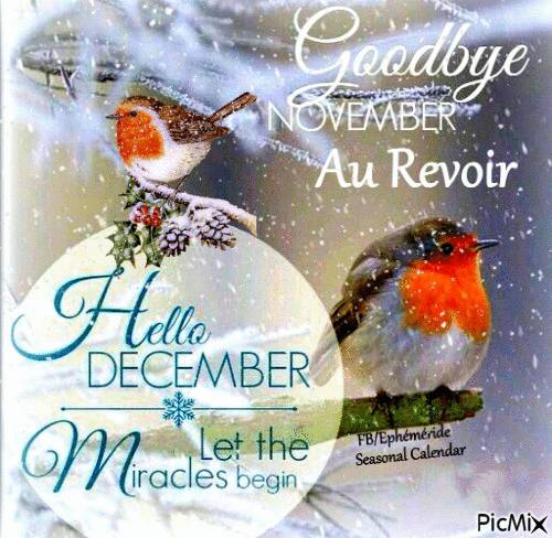 Let The Miracles Begin, Hello December Gif Pictures, Photos, and Images ...