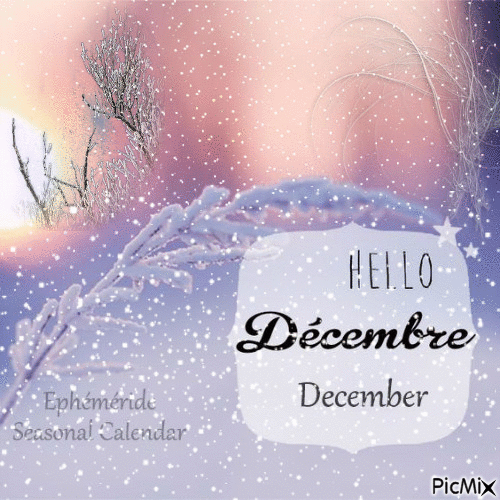 Hello Decembre (December) Pictures, Photos, and Images for Facebook ...