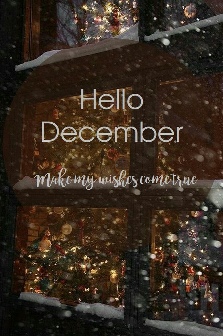 Christmas By The Window - Hello December Pictures, Photos, and Images ...