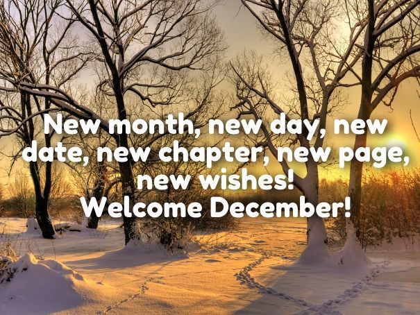 New Month, New Day, New Date, New Chapter, New Page, New Wishes ...