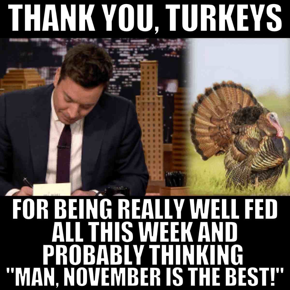 Thank You Turkeys Pictures, Photos, and Images for Facebook, Tumblr ...