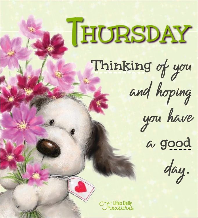 Thursday: Thinking Of You And Hoping You Have A Good Day Pictures ...