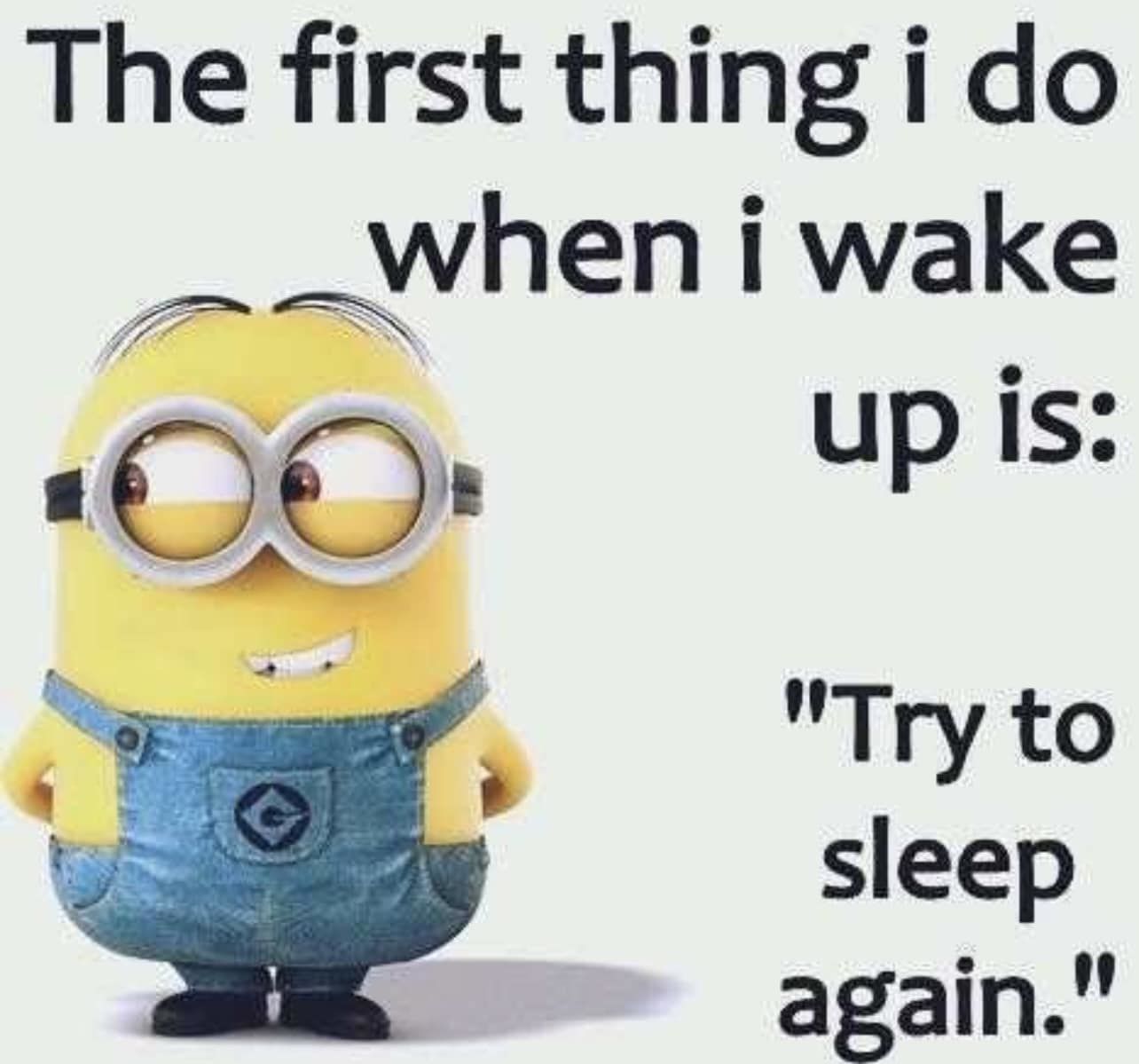 The First Thing I Do When I Wake Up Is....try To Sleep Again. Pictures ...