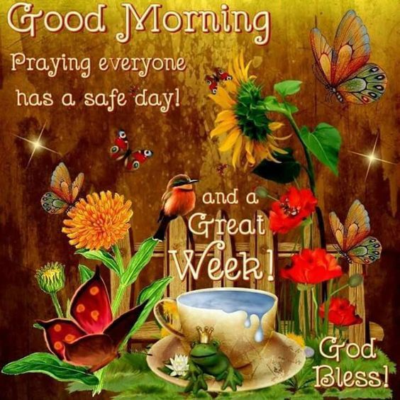 Pray Everyone Has A Safe Day. Good Morning. Have A Great Week. Pictures ...