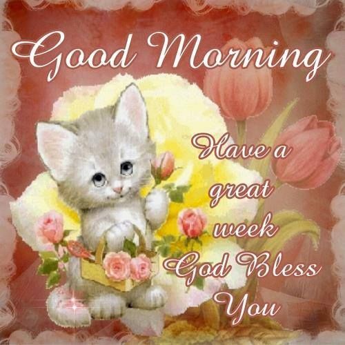 Rose Kitty Good Morning, Have A Great Week. God Bless You Pictures ...
