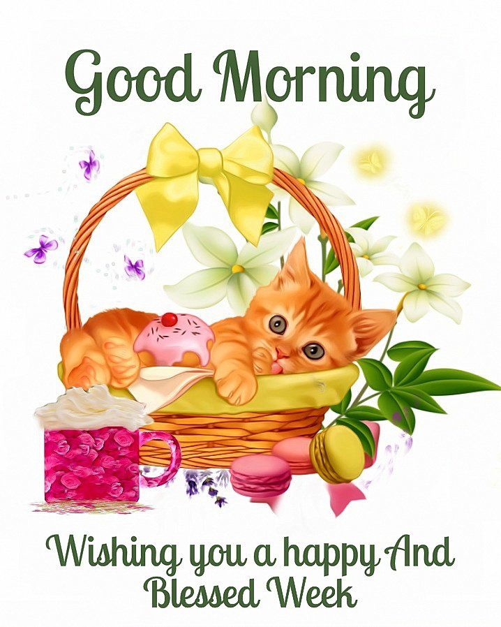 Good Morning: Wishing You A Happy And Blessed Week Pictures, Photos ...