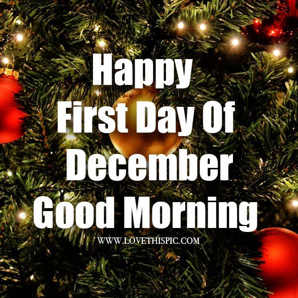 Happy First Day Of December & Good Morning Pictures, Photos, and Images ...