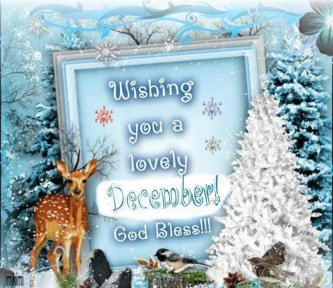 Wishing You A Lovely December! God Bless Pictures, Photos, and Images ...
