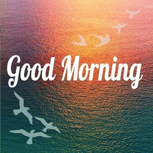 Flying Birds - Good Morning Pictures, Photos, and Images for Facebook ...