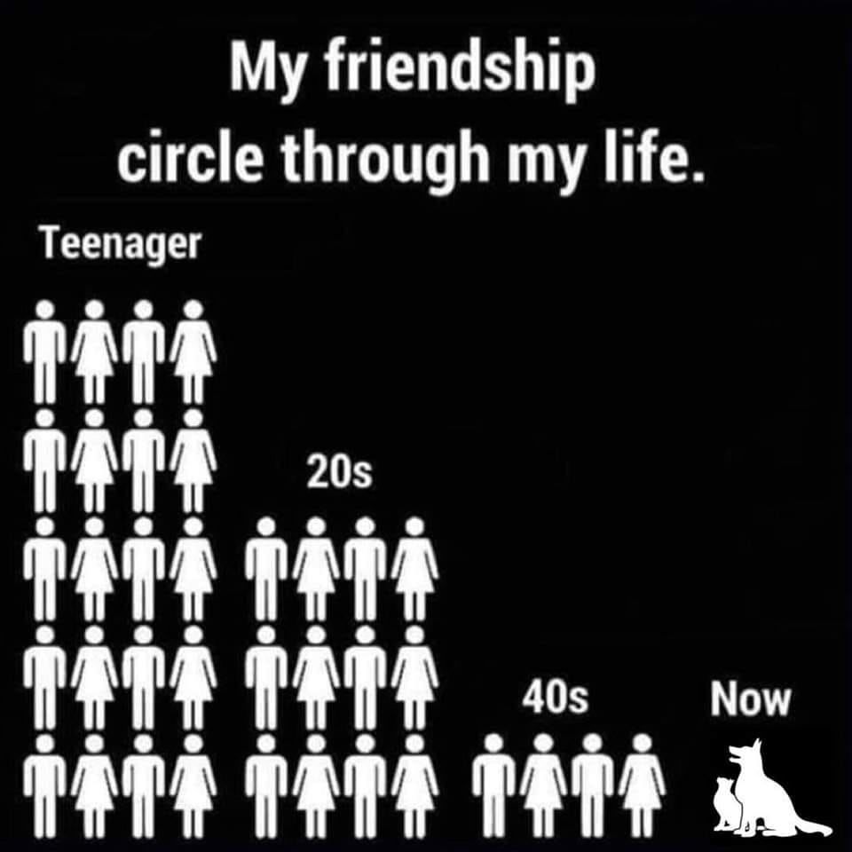 My Friendship Circle Through My Life Pictures, Photos, and Images for ...