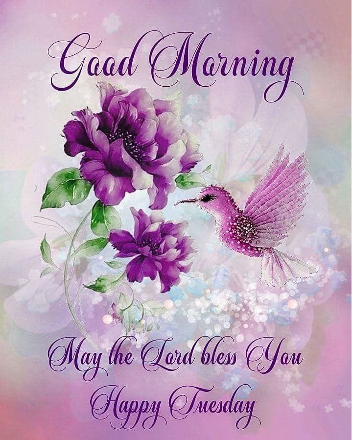 Bird Near Magentas Flowers - Happy Tuesday Pictures, Photos, and Images ...