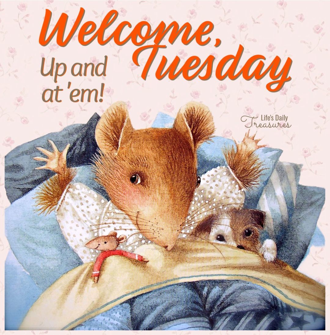 Welcome To Tuesday, Up An At Em Pictures, Photos, and Images for ...