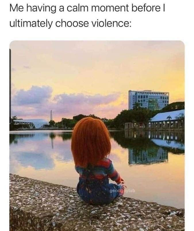 Me Having A Calm Moment Before I Ultimately Choose Violence Pictures ...