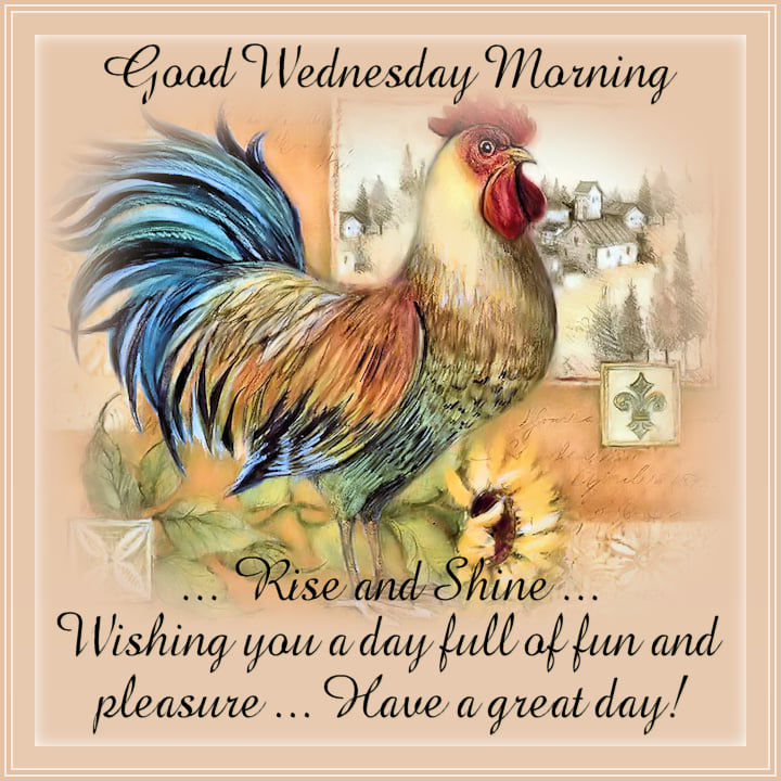 Good Wednesday Morning Quote Pictures, Photos, and Images for Facebook ...