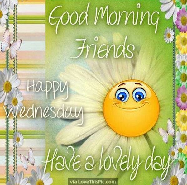 Happy Daisy, Good Morning, Happy Wednesday Quote Pictures, Photos, and ...