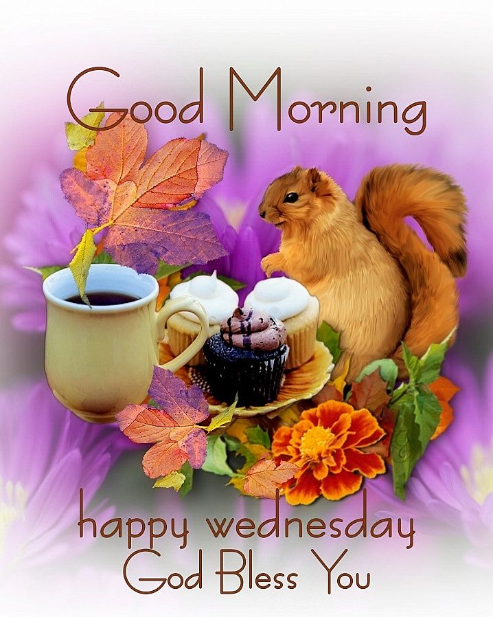 Squirrel And Coffee - Good Morning, Happy Wednesday. God Bless You ...