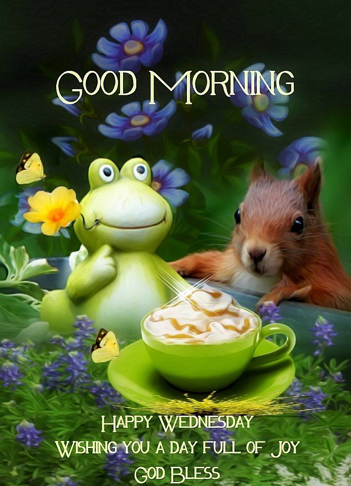 Frog And Squirrel Good Morning, Happy Wednesday Pictures, Photos, and ...