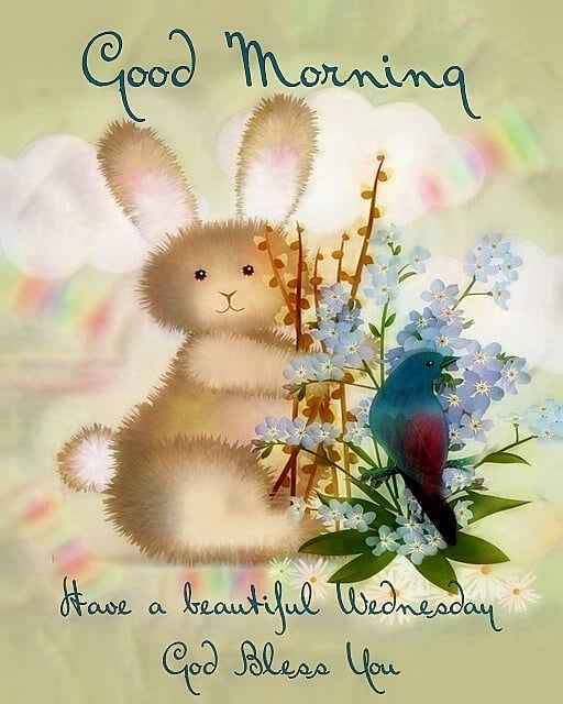 Good Morning, Have A Beautiful Wednesday Pictures, Photos, and Images ...