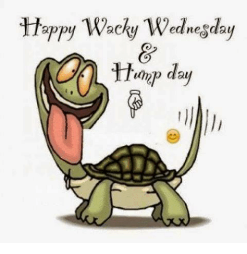Happy Wacky Wednesday Pictures, Photos, and Images for Facebook, Tumblr ...