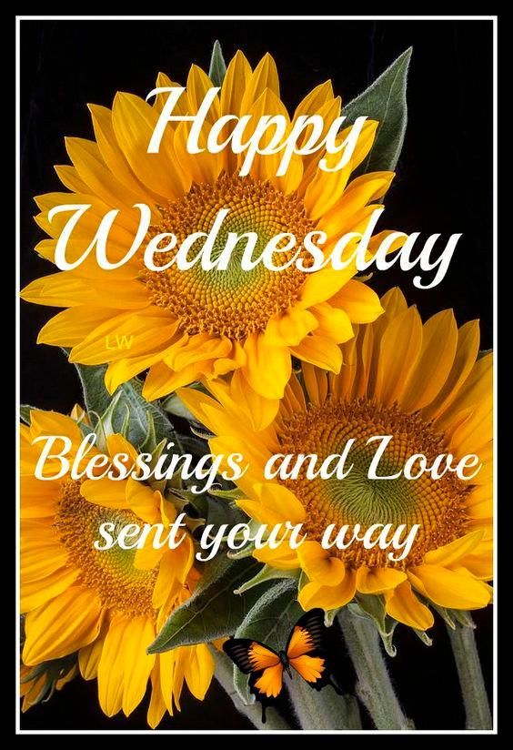 Blessings And Love Sent Your Way, Happy Wednesday Pictures, Photos, and ...
