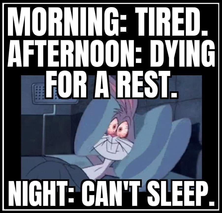 Trying To Sleep During The Morning, Afternoon And Night Pictures ...