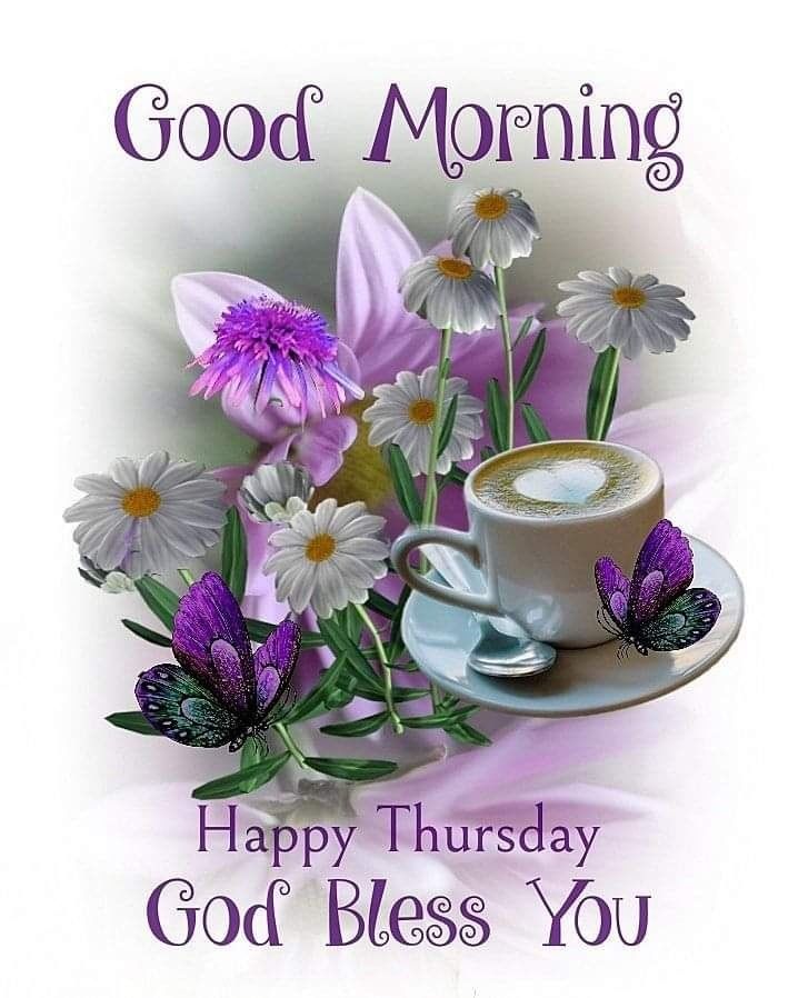 Good Morning Daisies, Happy Thursday Pictures, Photos, and Images for ...