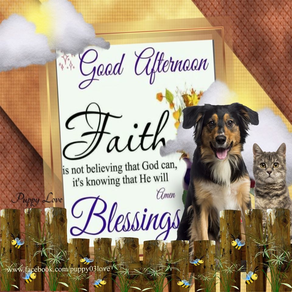 Good Afternoon Quotes On Faith And Blessings Pictures, Photos, and ...