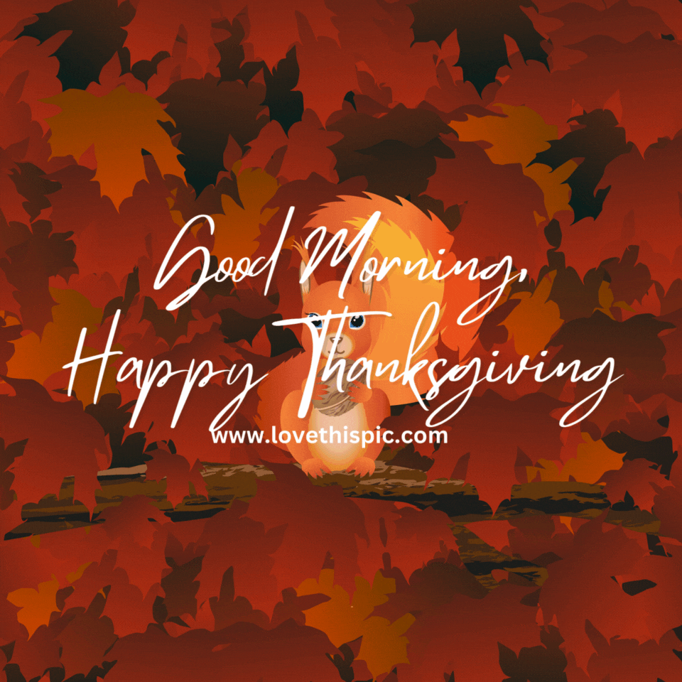 Cute Squirrel Good Morning Happy Thanksgiving Gif Pictures, Photos, and ...