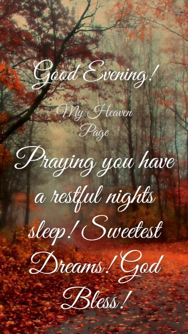 Good Evening! Praying You Have A Restful Nights Sleep! Sweetest Dreams ...