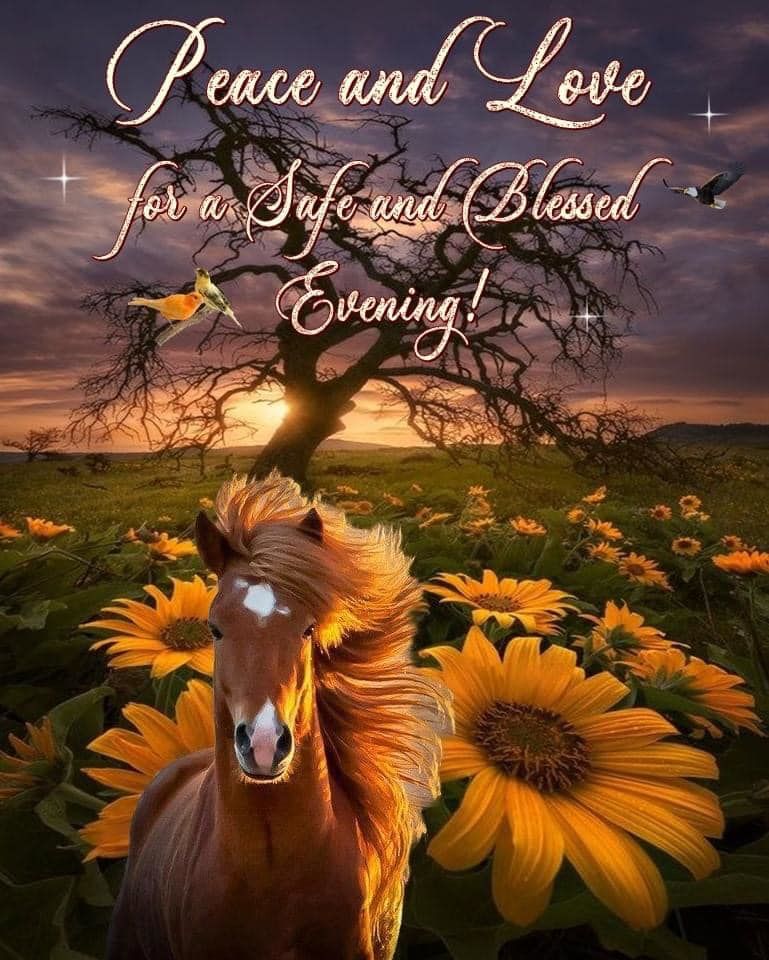 Peace And Love For A Safe And Blessed Evening Pictures, Photos, and ...