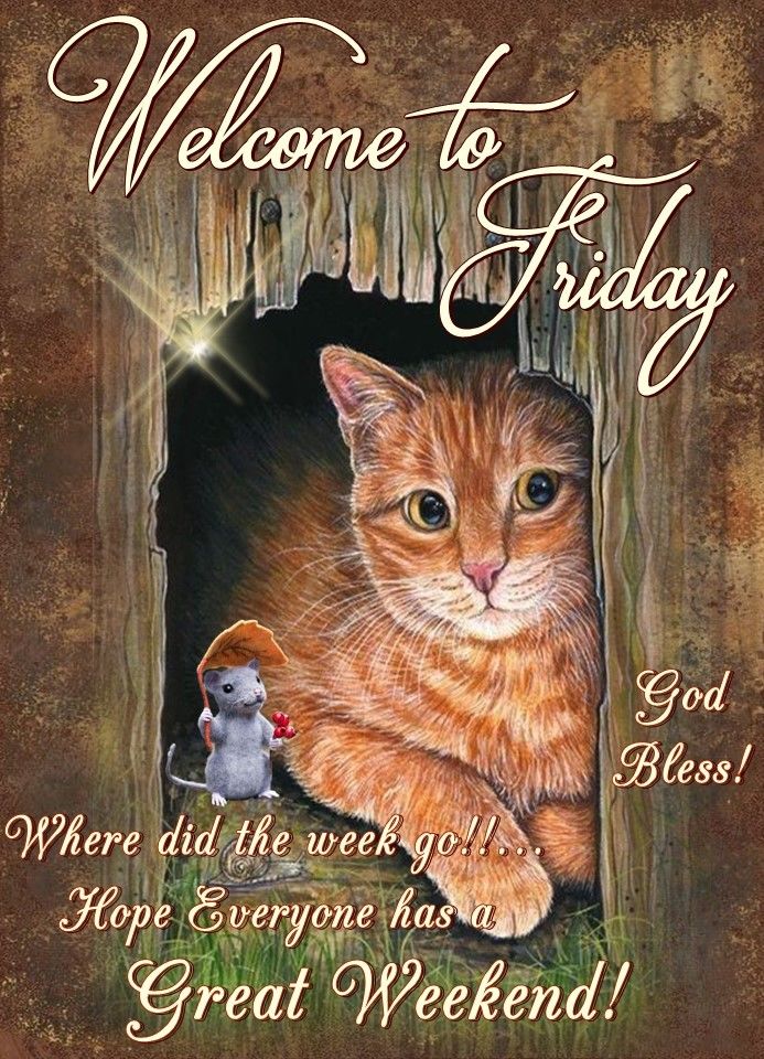 Welcome To Friday Pictures, Photos, and Images for Facebook, Tumblr ...