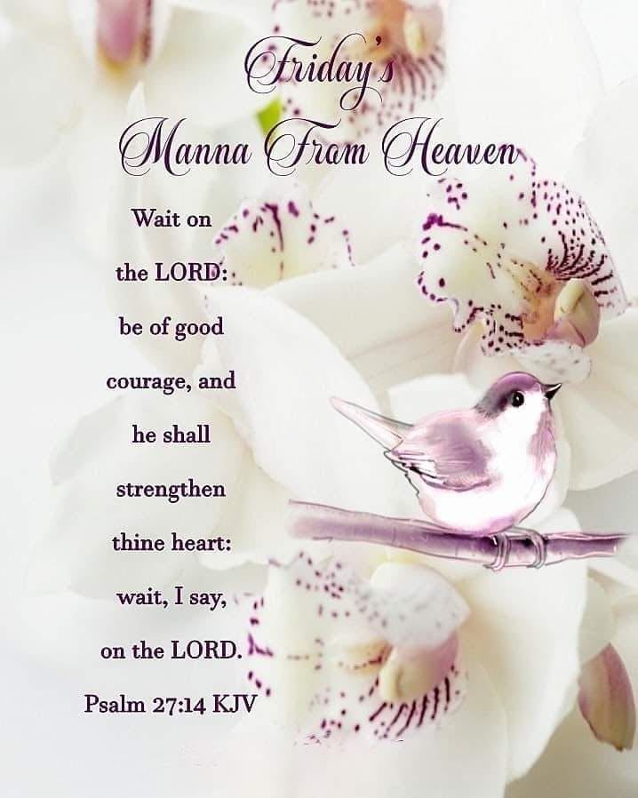 Friday's Manna From Heaven Pictures, Photos, and Images for Facebook ...